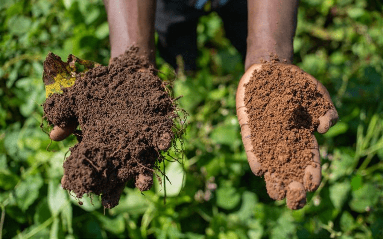 How to achieve better soils, Mr. Ameen? - Food4Transformation